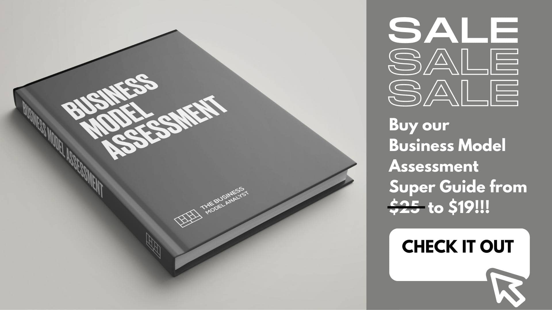 Business Model Assessment