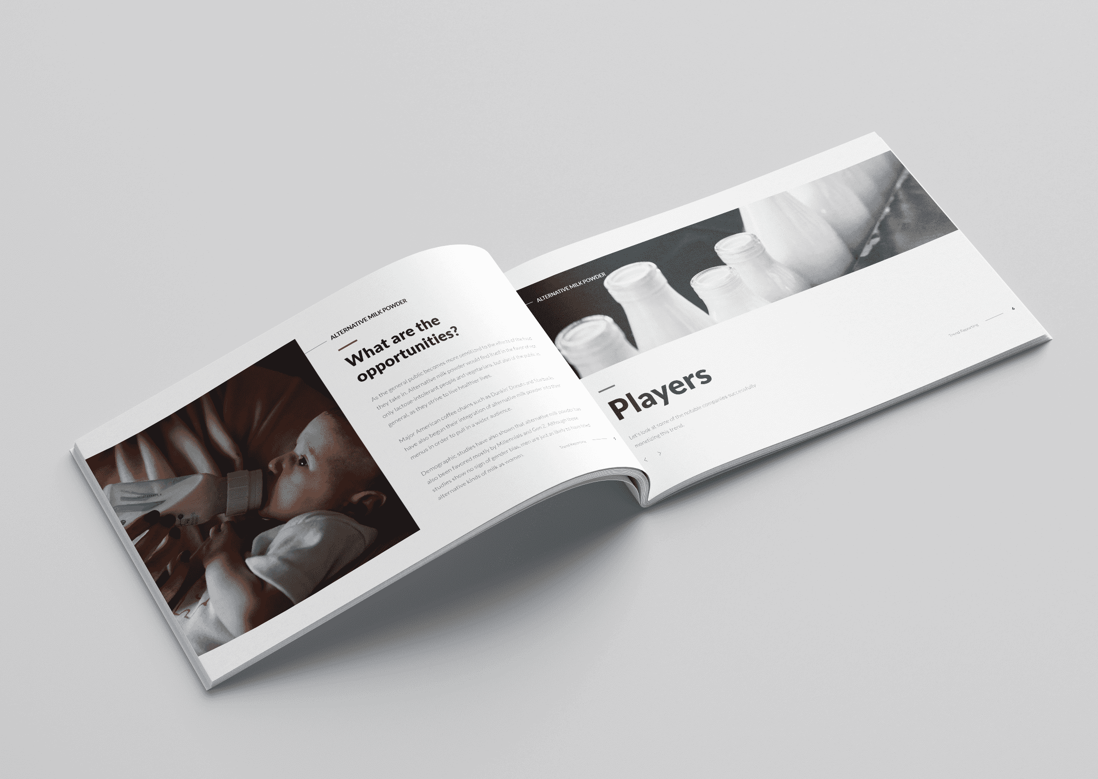 Alternative Milk Powder