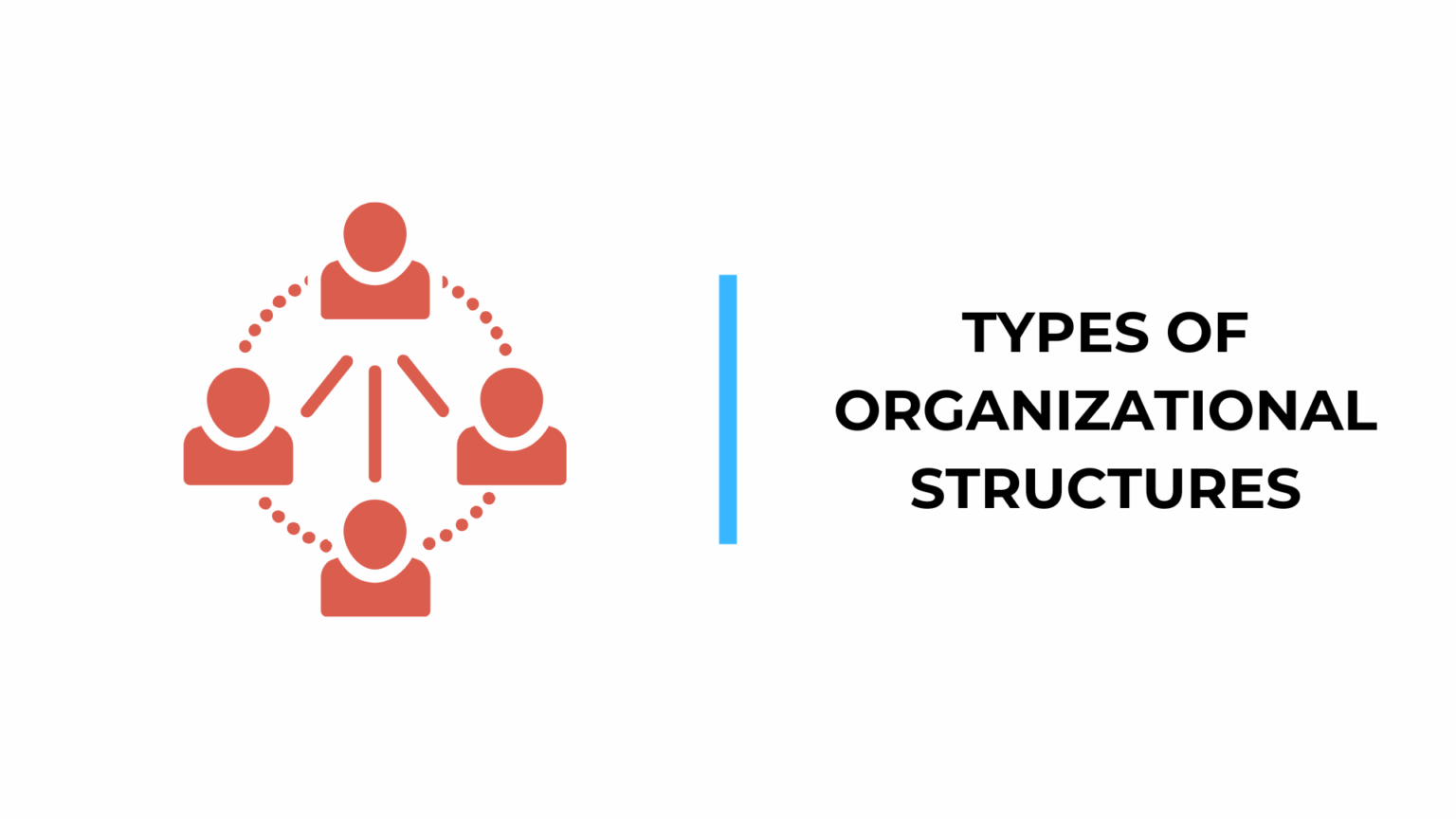 11 Types of Organizational Structures