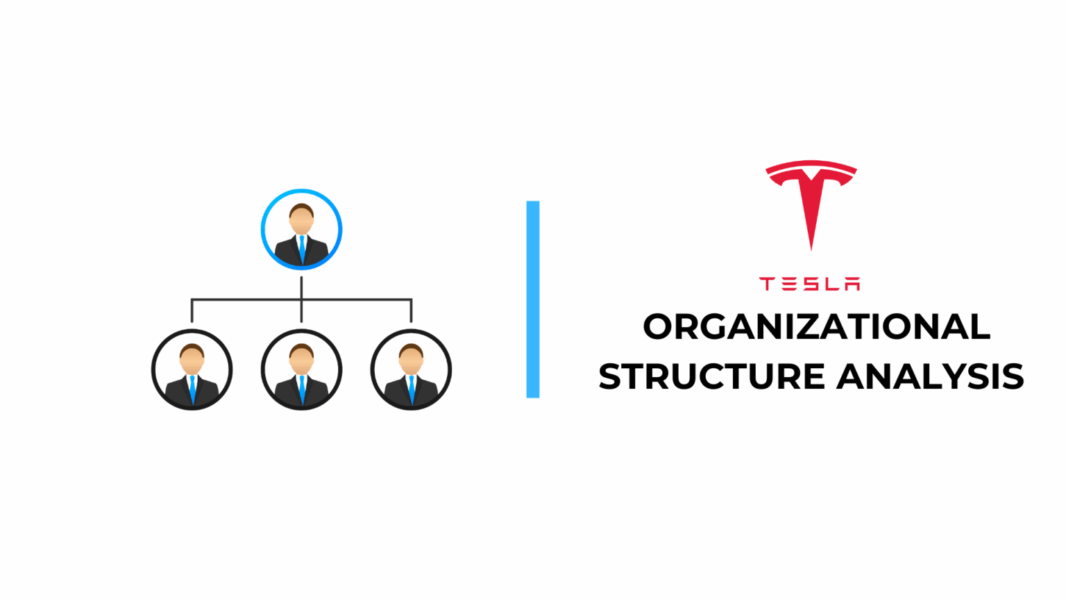 Tesla Organizational Structure Analysis